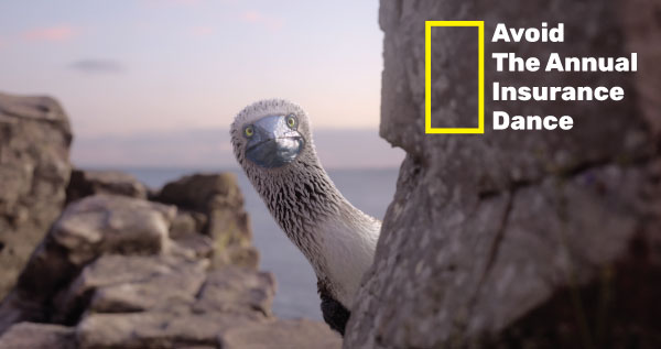 Compare Insurance Quotes - Insurance Brokers Ireland | Chill Insurance ...